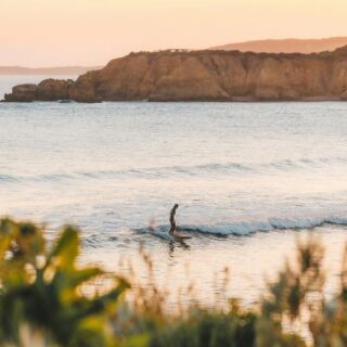 Torquay Beach Hire - Go Ride A Wave