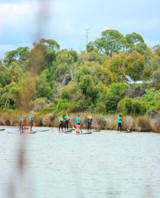 Go Ride A Wave - Go Ride A Wave